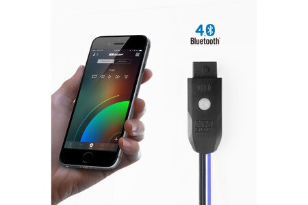 RGB and Switchback | RGB Controllers | TRS